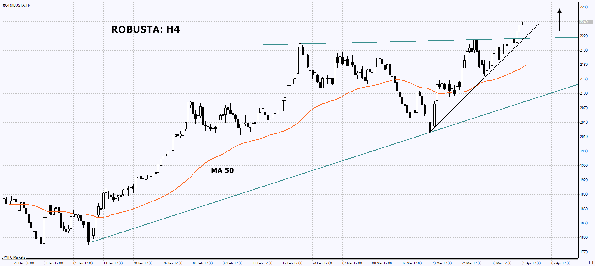 Trading Idea - Robusta Coffee, 05-04-2023 | IFCM